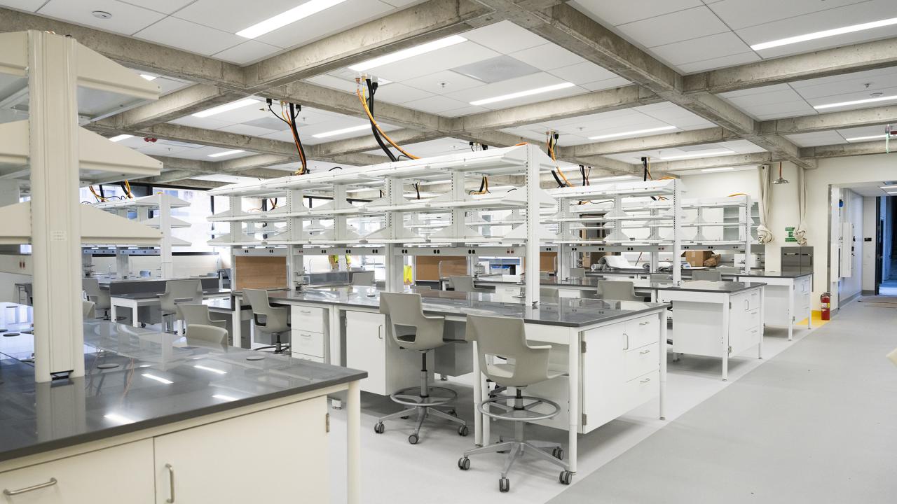 Briggs Hall Lab Renovations | Design and Construction Management