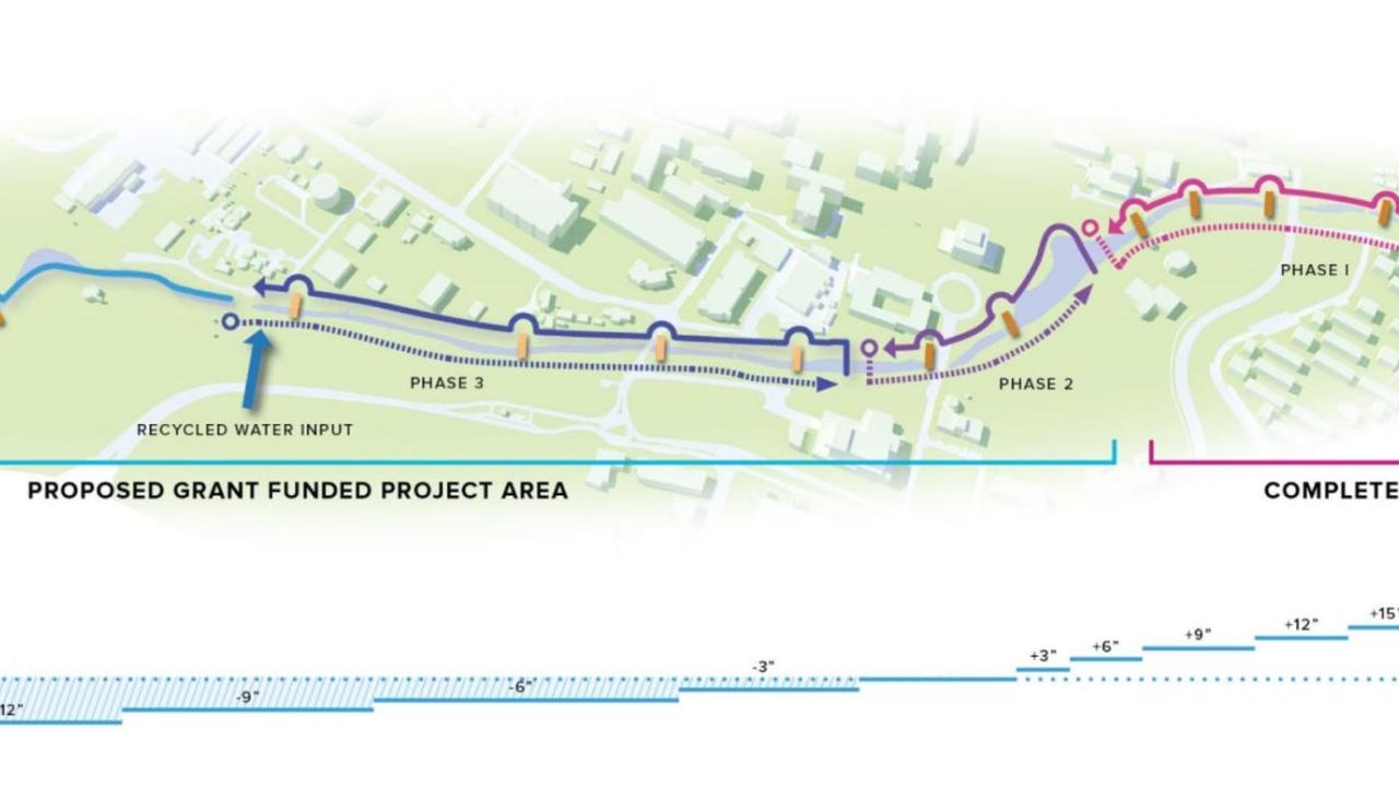Arboretum Waterway Enhancement Project | Design and Construction Management