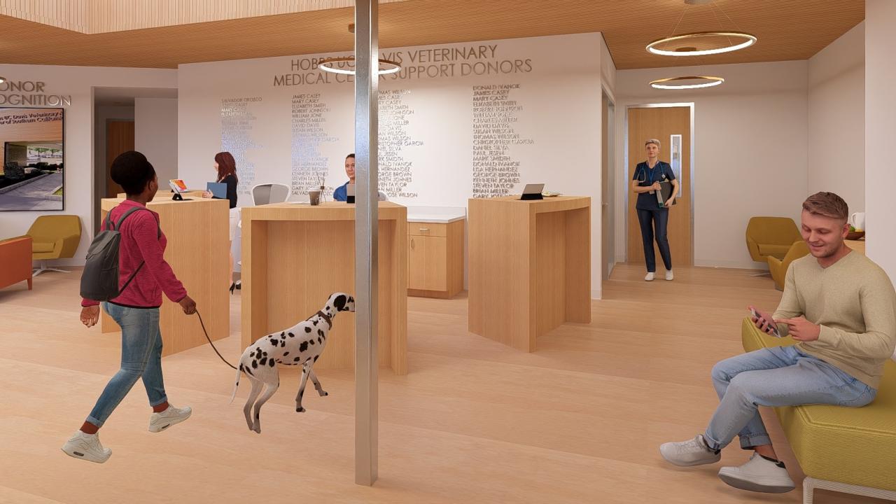 Hobbs UC Davis Veterinary Medical Center of Southern California ...